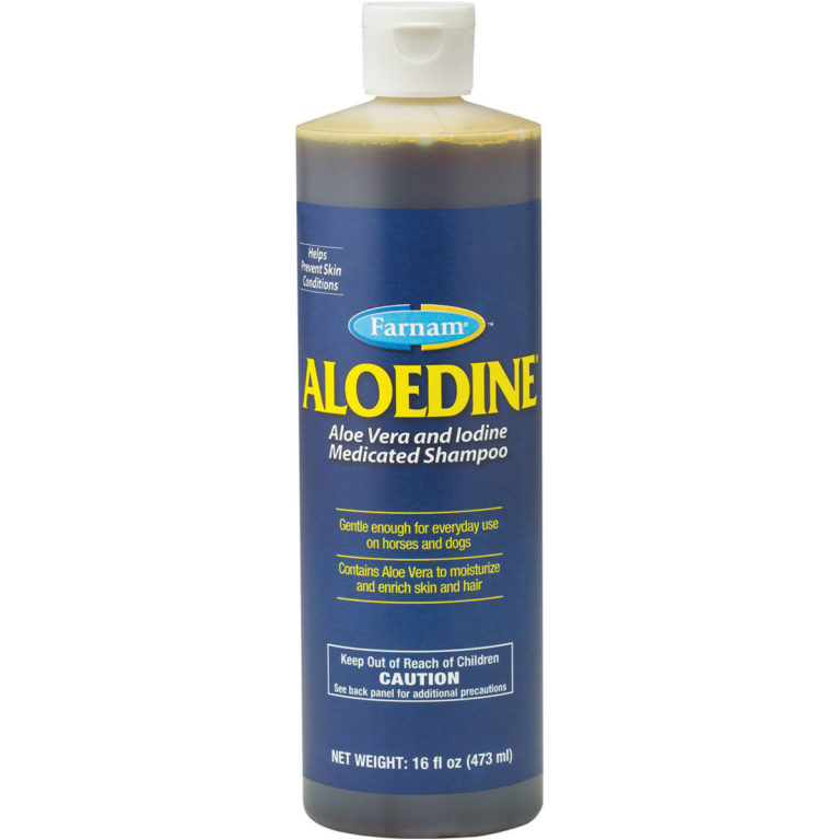 Aloedine Aloe Vera & Iodine Shampoo 16 oz - Alliance Animal Care